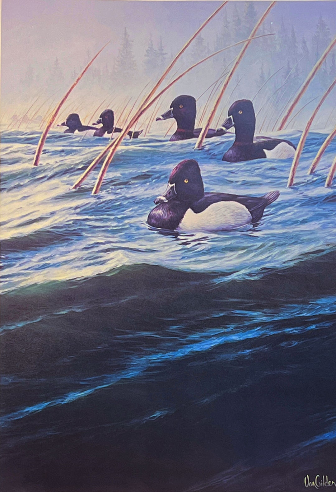 Ron Van Gilder Signed Art Print DU Art Print Marsh Mist (17x25) - Etsy