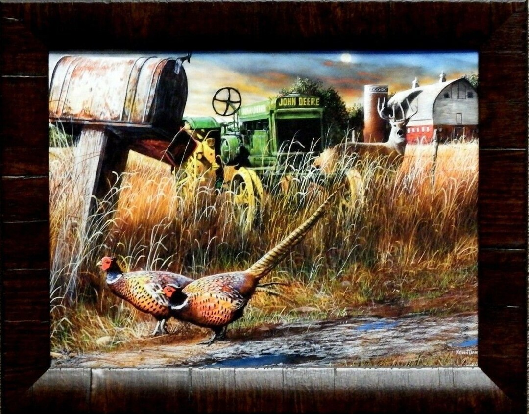 Kevin Daniel Special Delivery Pheasant Studio Canvas Art Print-framed ...