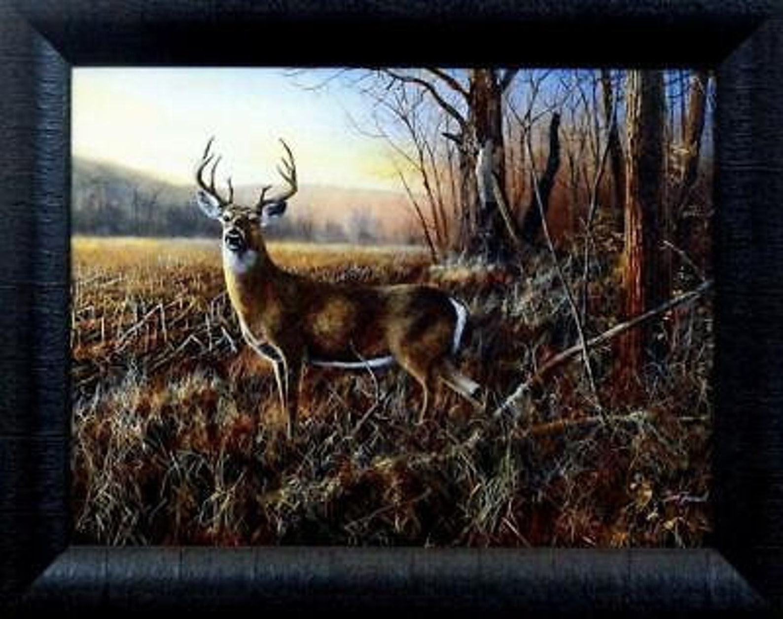 Jim Hansel Bluff Country Buck Deer Art Print 19 X 15 - Etsy