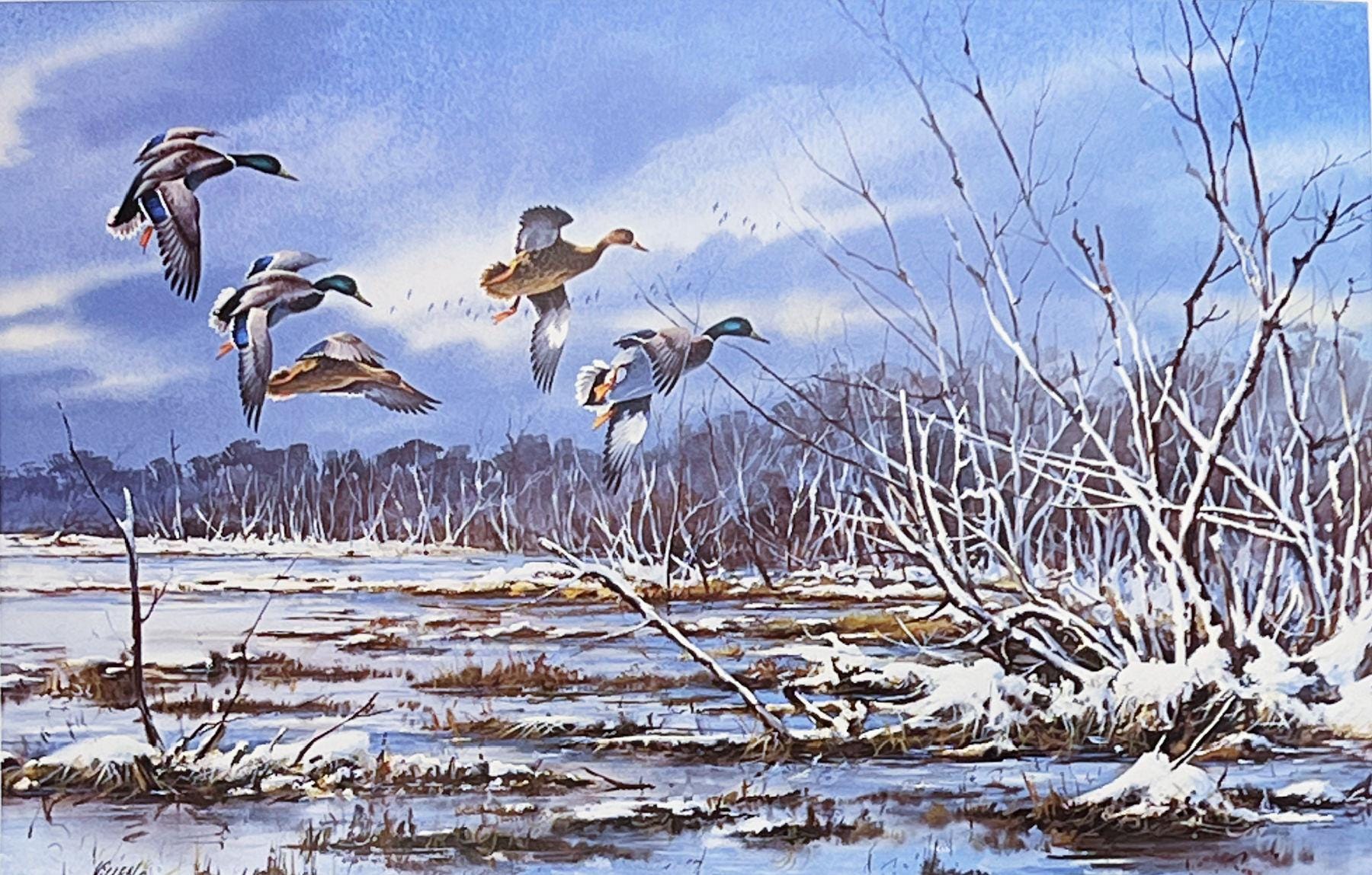 Jim Killen S/N Duck Art Print After the Snowfall-mallards (25"x16.5 ...