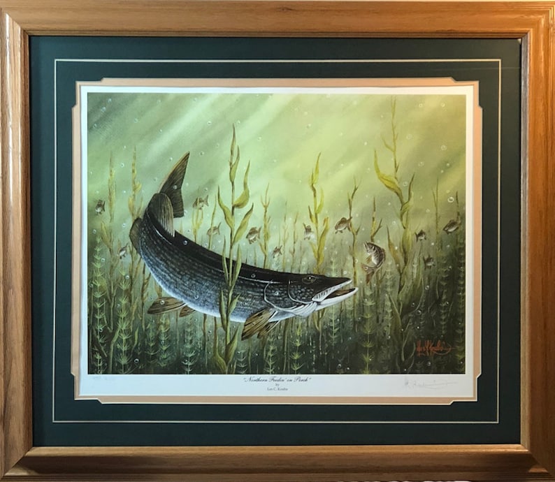 Les Kouba Northern Feedin on Perch Fishing Art Print-framed - Etsy