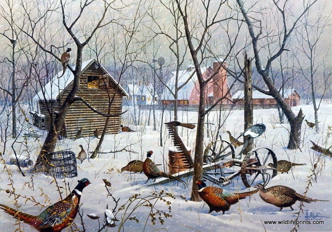 Les Kouba in Shelter - 24" X 17" Signed Artists Proof - Etsy