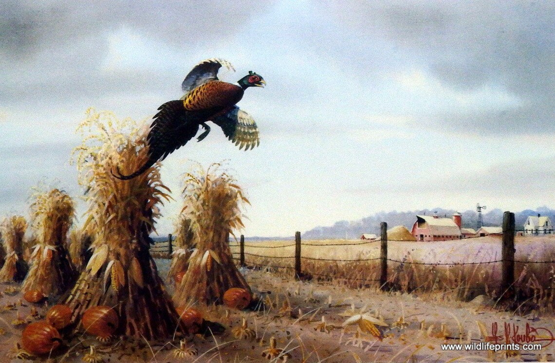 Les Kouba Mid October S/N Pheasant Pumpkin Print | Etsy