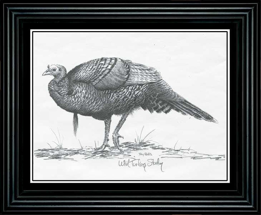 Terry Redlin Turkey Pencil Sketch-framed 11.5 X 9.5 - Etsy