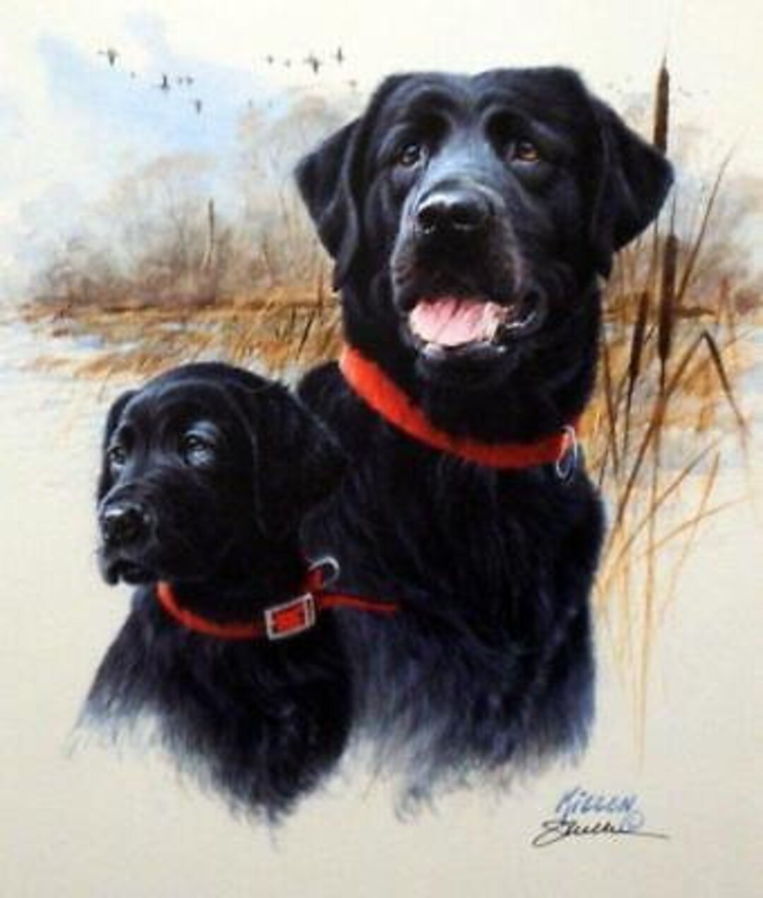 Jim Killen the Legacy Black Labs Signed 13 X 15 - Etsy