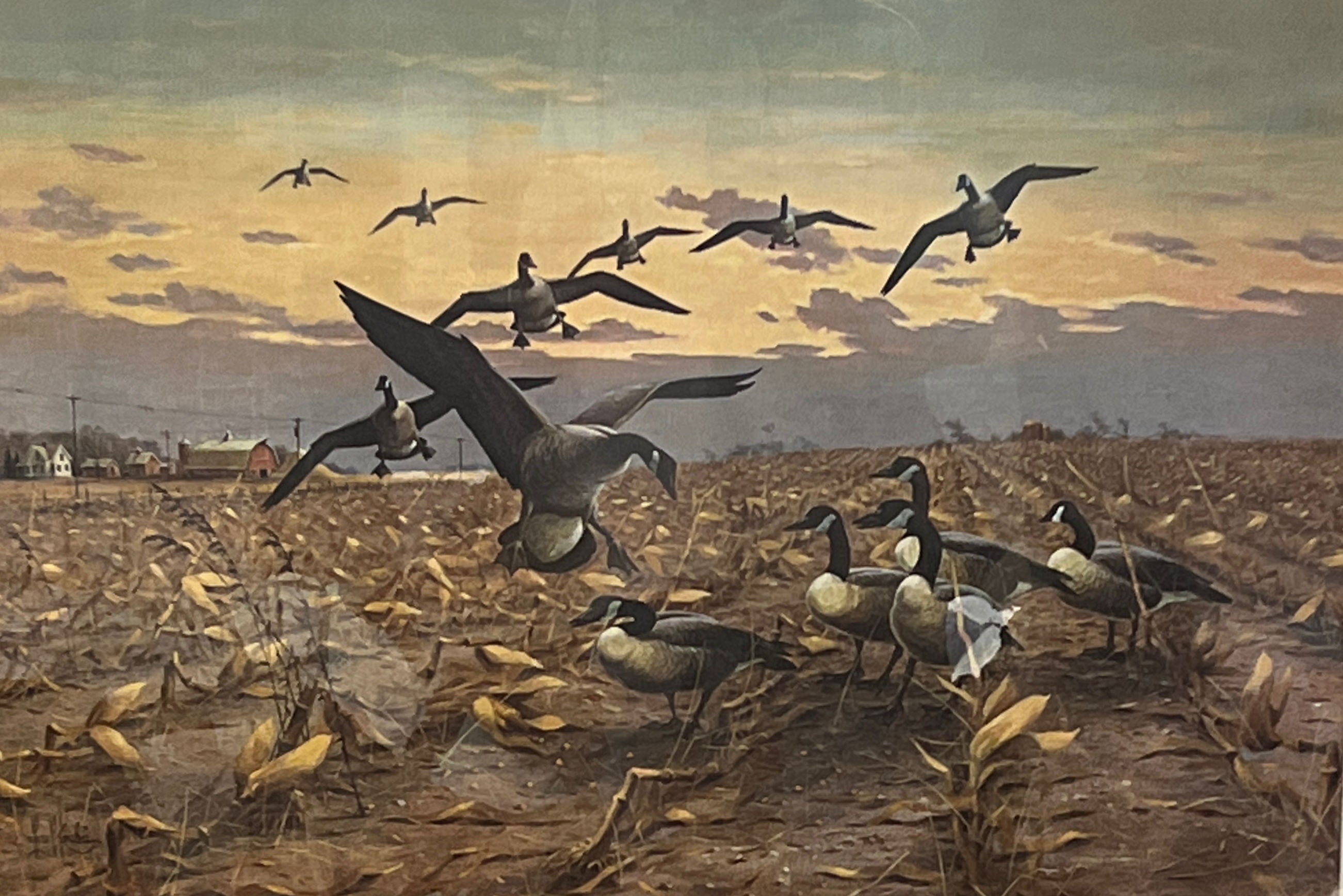 Goose Hunting Paintings