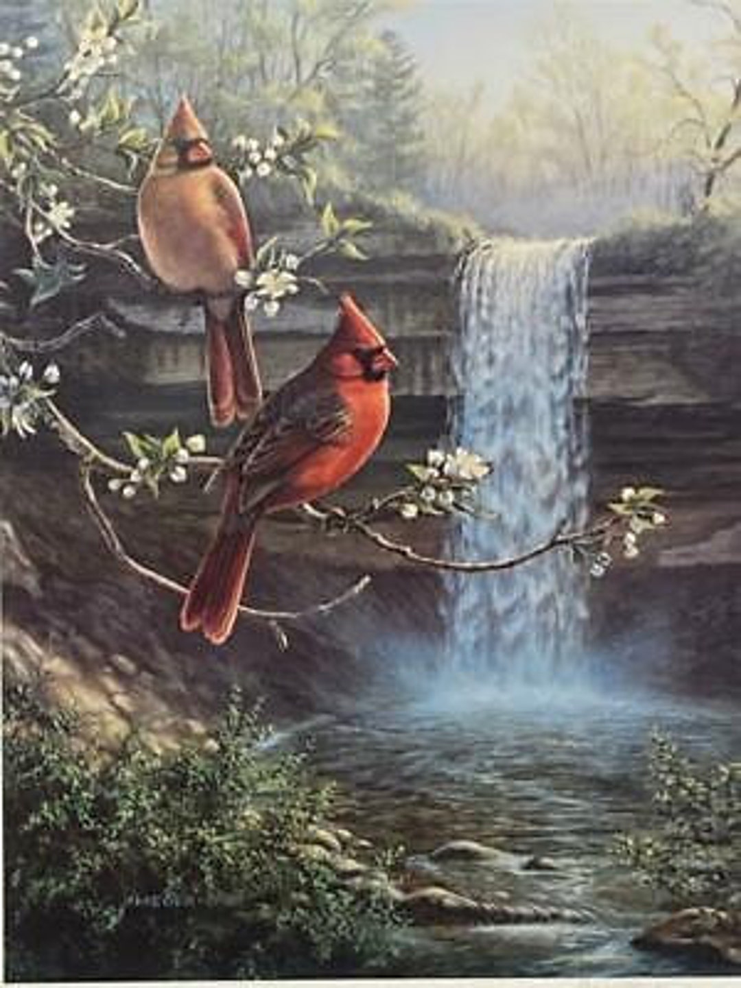 James Meger Heritage Cardinal S/N Art Print-14.5 X 19 - Etsy