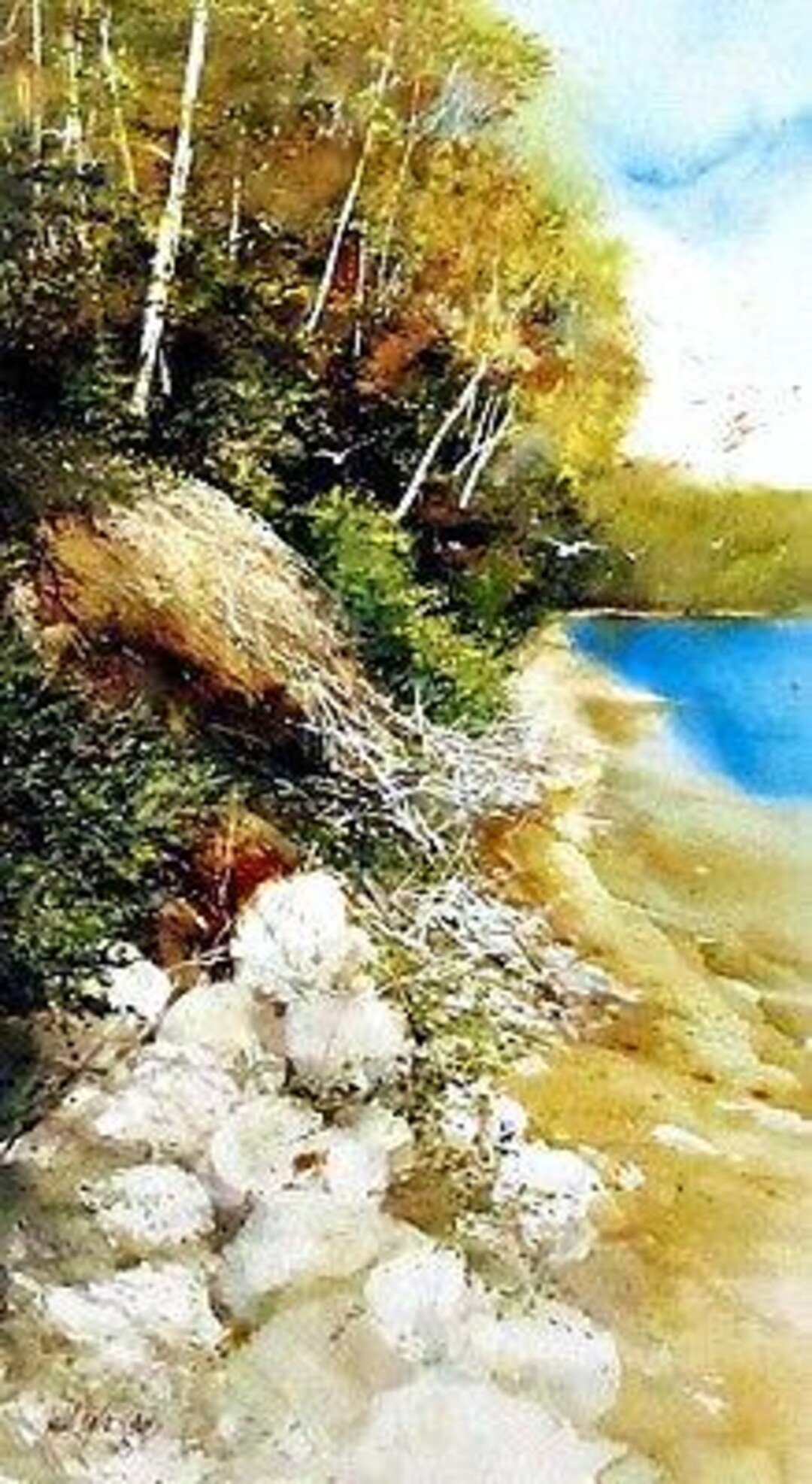 Shoreline Color Lake Tree Seagull Print by Randall Higdon Signed and ...