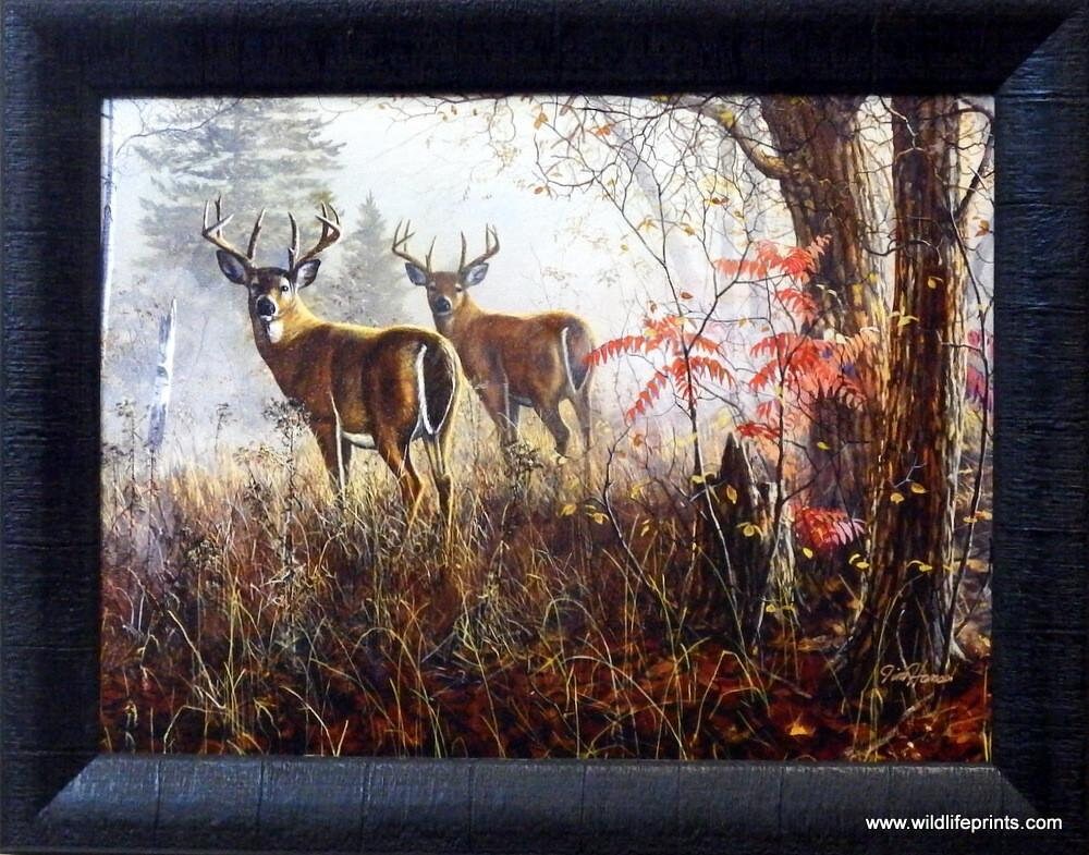 Jim Hansel Double Vision Deer Studio Canvas Framed Print- 19'' X 15 ...
