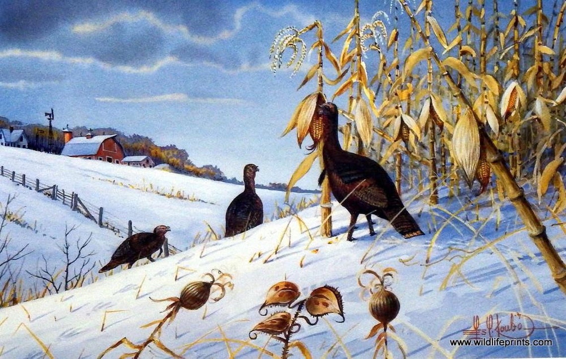 Les Kouba Wild Turkey Feedin' - 12" X 8" Signed/numbered Art Print - Etsy