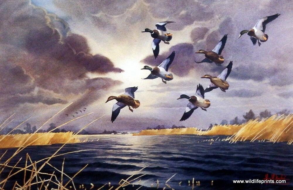 Les Kouba Droppin in 12 X 8 Signed/numbered - Etsy