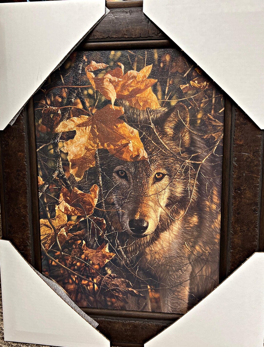 Collins Bogle Autumn Eyes Wolf Art Print-framed 20.5 X 25.5 - Etsy