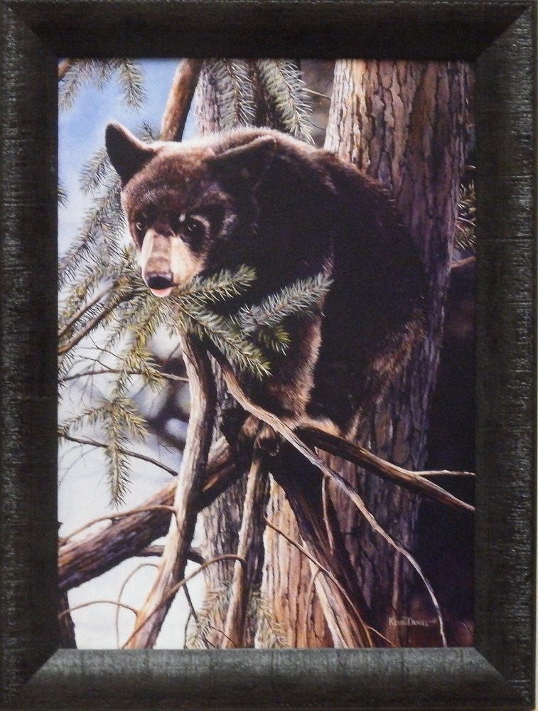 Kevin Daniel "out on a Limb" Bear Art-framed 15 X 19 - Etsy