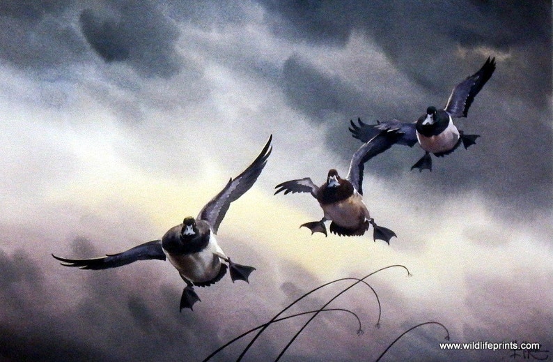 Les Kouba Flaps Down S/N Duck Hunting Print 12 X 8 - Etsy