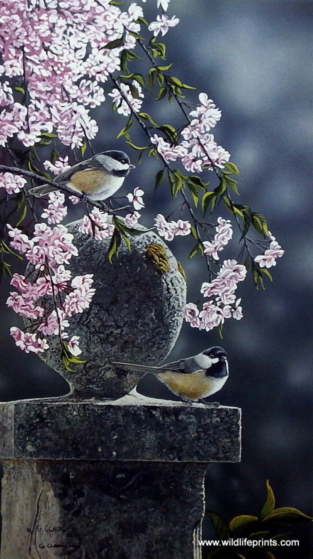 Gregory Clair "spring Cascade" Chickadee Art Print 7" X 10" - Etsy