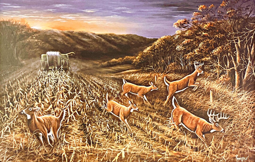 Ray Mertes Another Year Farm Deer Art Print 24 X 15.5 - Etsy