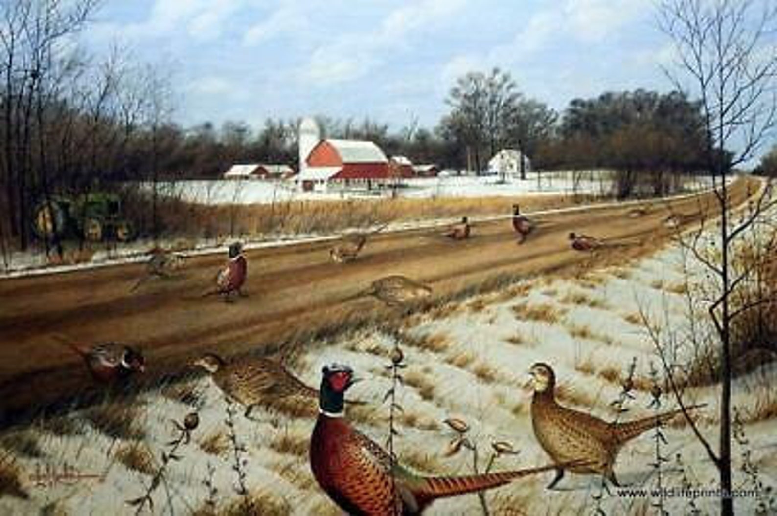 Les Kouba Ringnecks After Gravel Pheasant Art Print 24 X 16 - Etsy