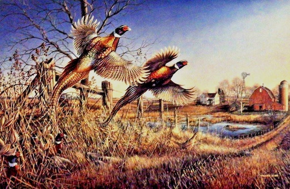 James Meger Arte Vida Silvestre Las Mejores Ofertas En James Meger