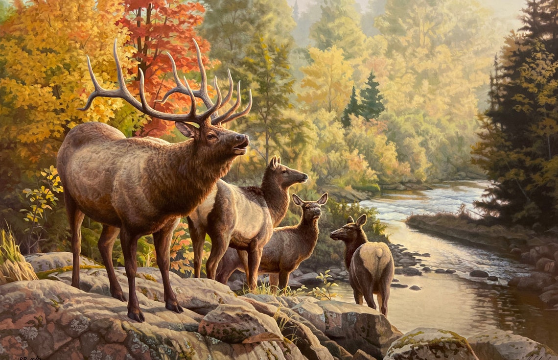 Greg Alexander River Walk Deer S/N PP Elk Print 22 X 15 - Etsy