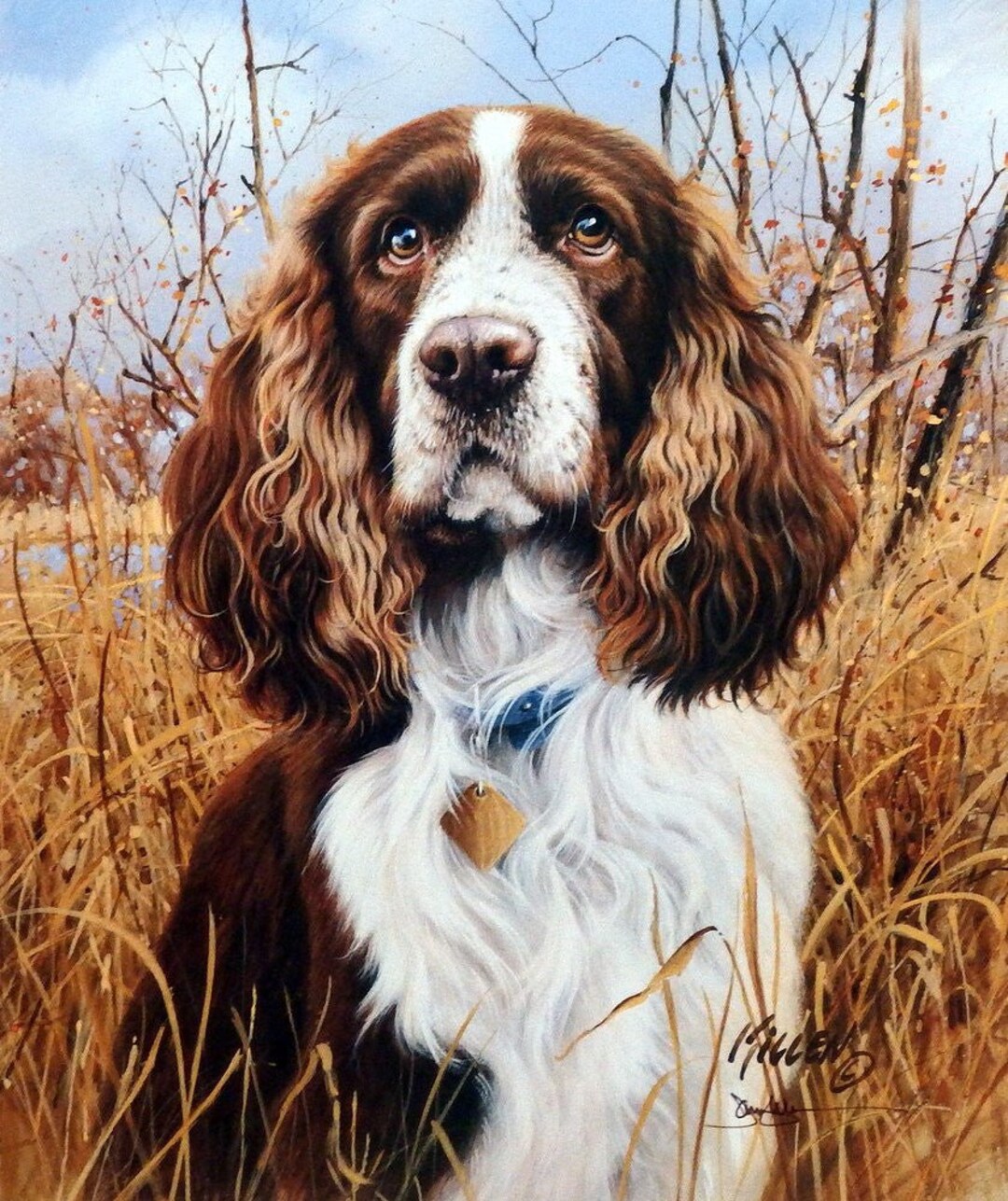 James Killen That's My Dog Too-springer Spaniel-signed 13" X 15.5" - Etsy
