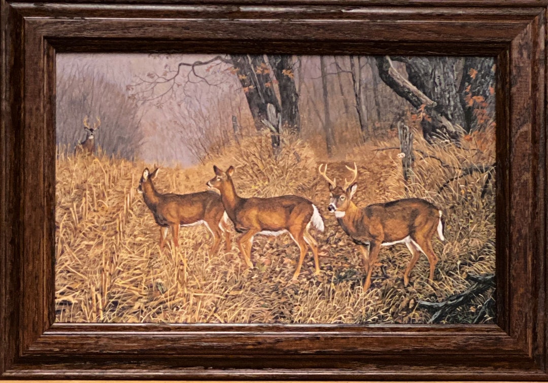Terry Doughty New Arrival Deer Decorator Art Print-framed 14.5 X 10 - Etsy