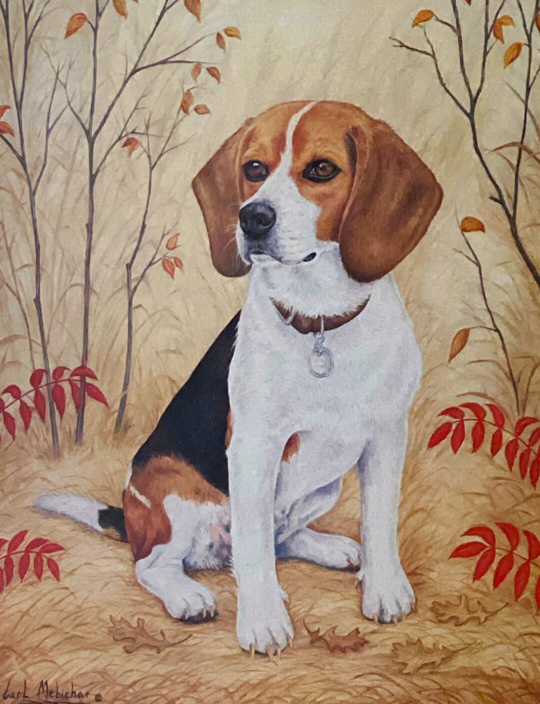 Carl Melichar Beagle S/N Art Print-image Size 12.5 X 15.5 - Etsy