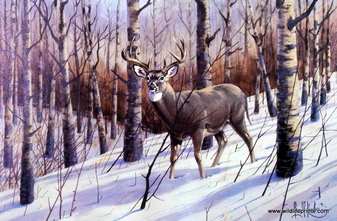 Les Kouba Headin for the Swamp Deer S/N Print - Etsy