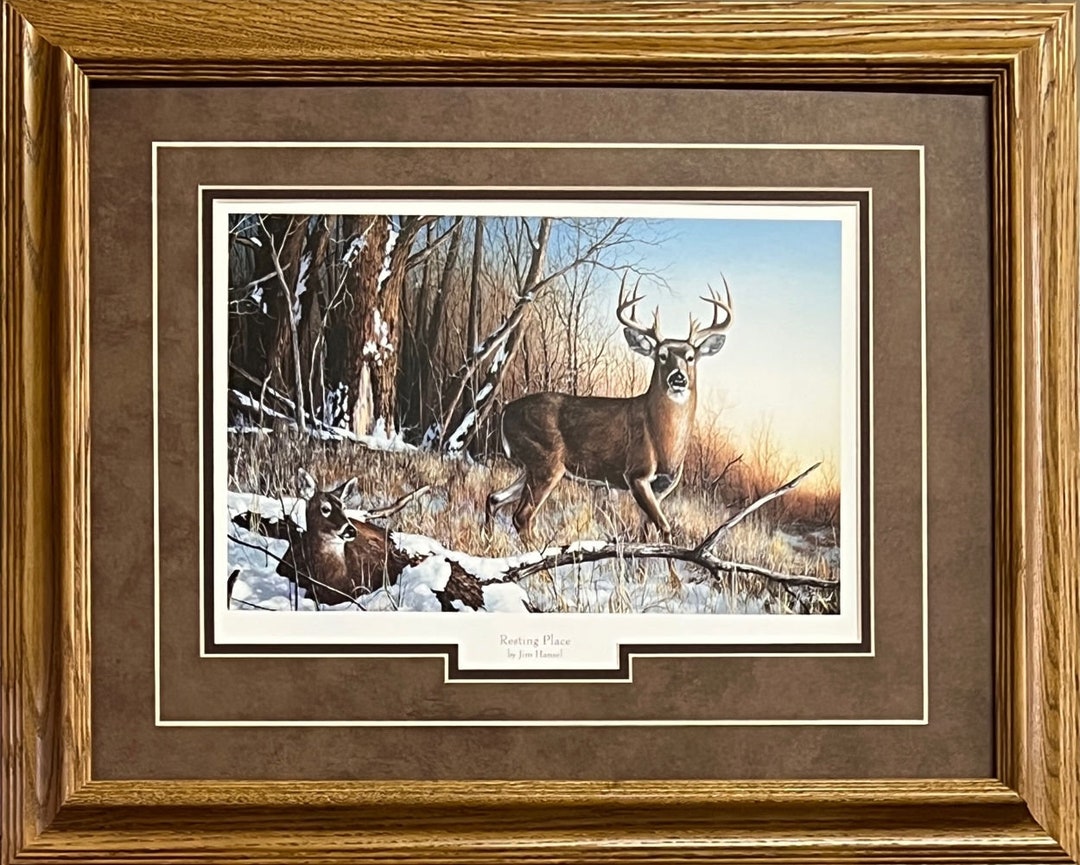 Jim Hansel Resting Place Deer Buck Art Print-21 X 17 - Etsy