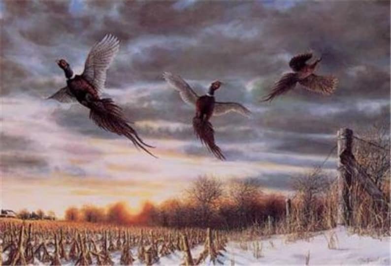 Jim Hansel Spooked Pheasant Farm Art Print 29 X 19 - Etsy