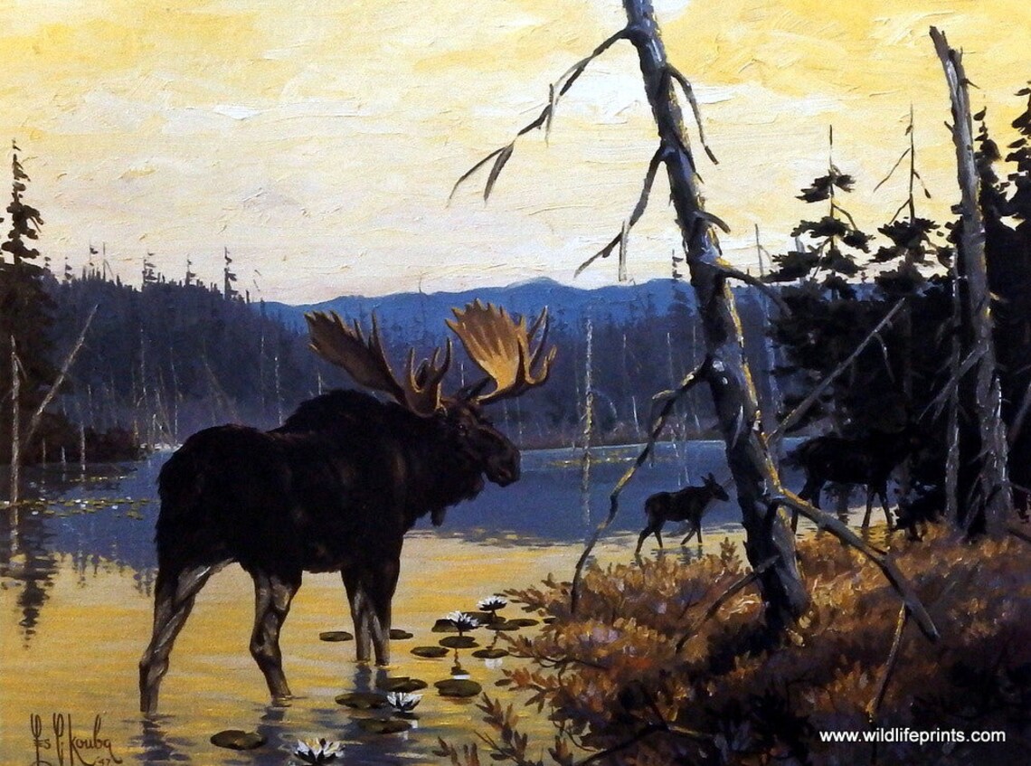 Les Kouba Moose Family up North Art Print 18" X 13.25" - Etsy