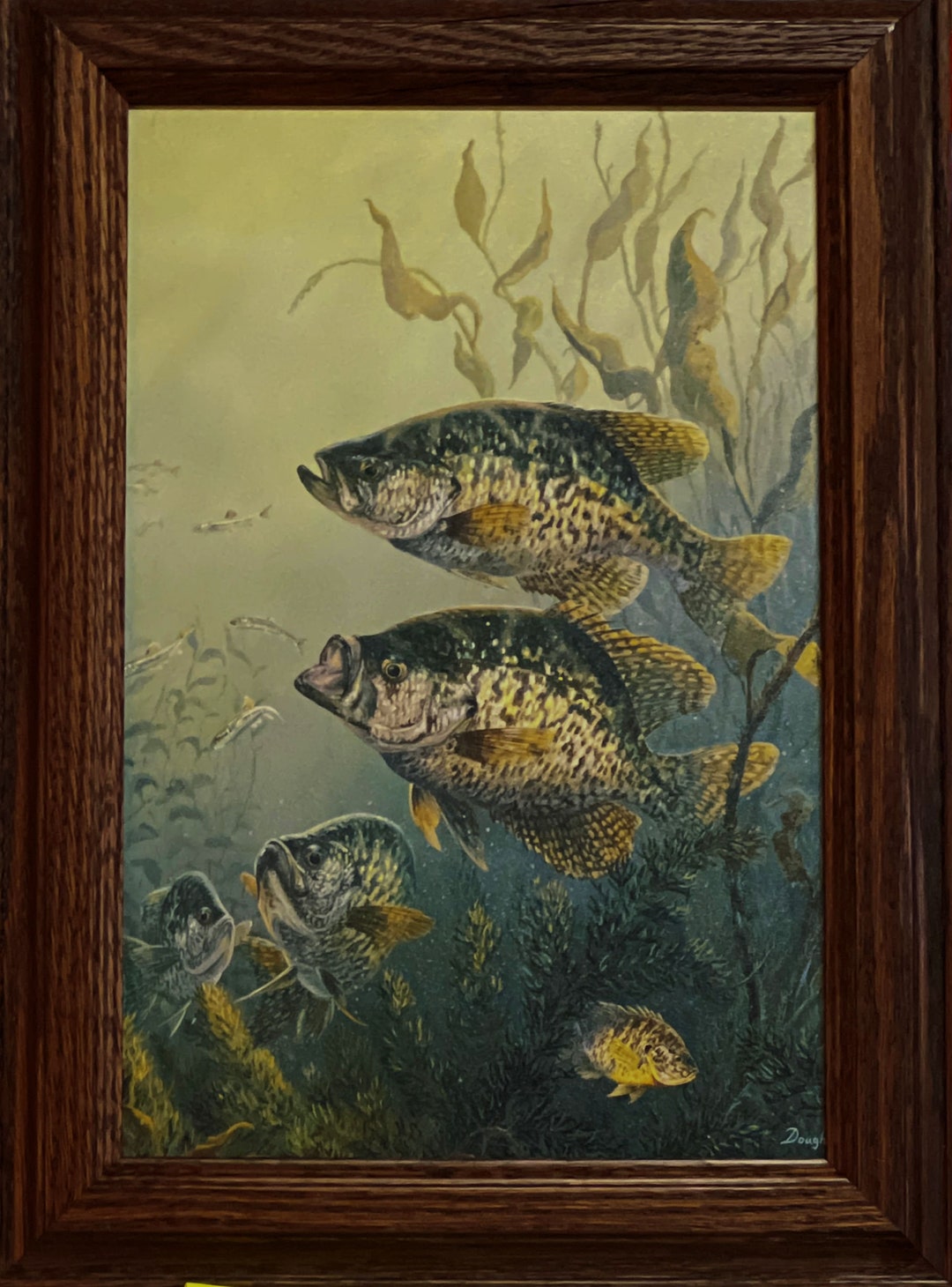 Terry Doughty Black Crappies Fishing Decorator Art Print-framed - Etsy