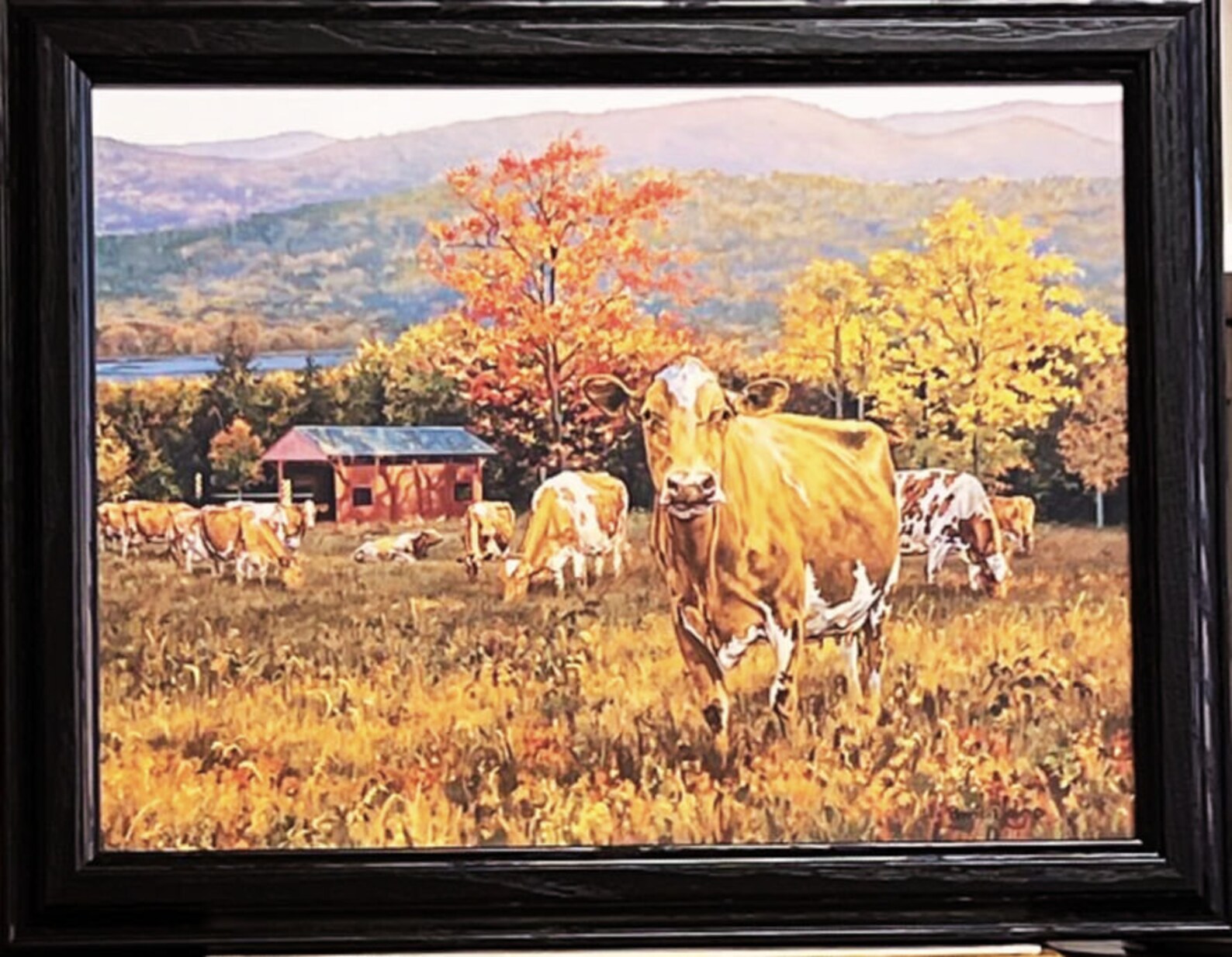 Bonnie Mohr Autumn's Gold Cow Farm Art Print-framed 18.5 X 14.5 - Etsy