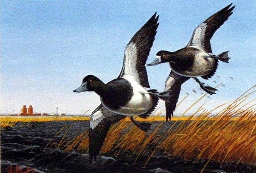 1985 North Dakota Duck Stamp Print S/N Art Print - Etsy