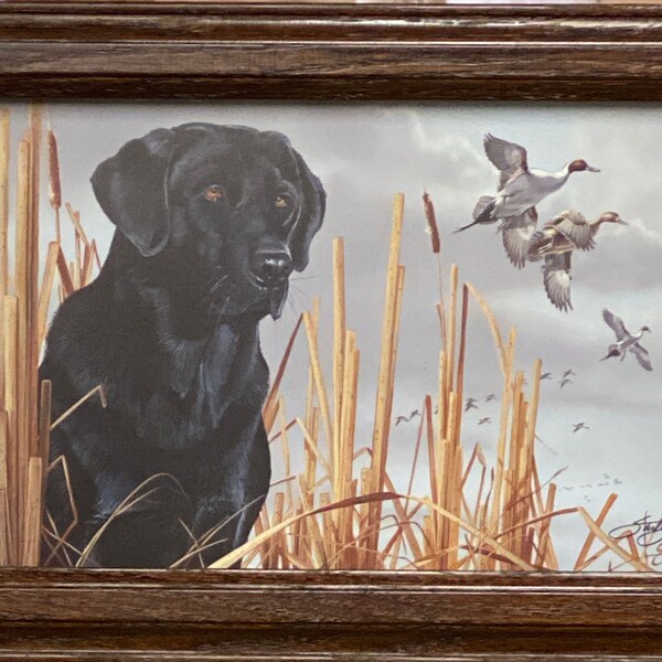 Black Lab Art - Etsy