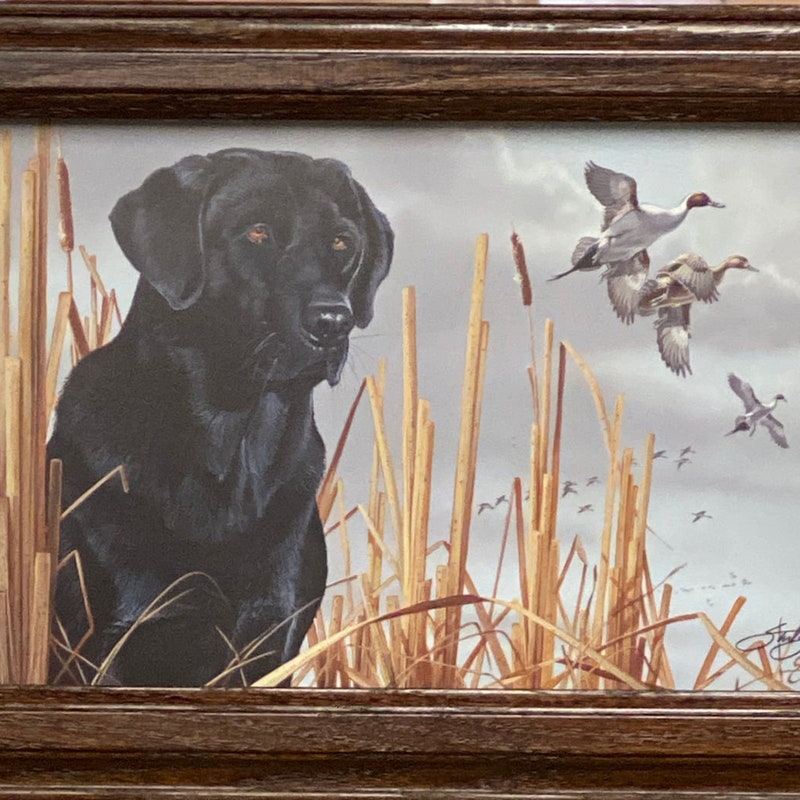 Black Lab Art - Etsy