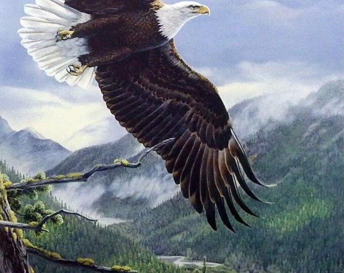 Al Agnew Soaring Spirit Eagle Art Print Signed and Numbered - Etsy