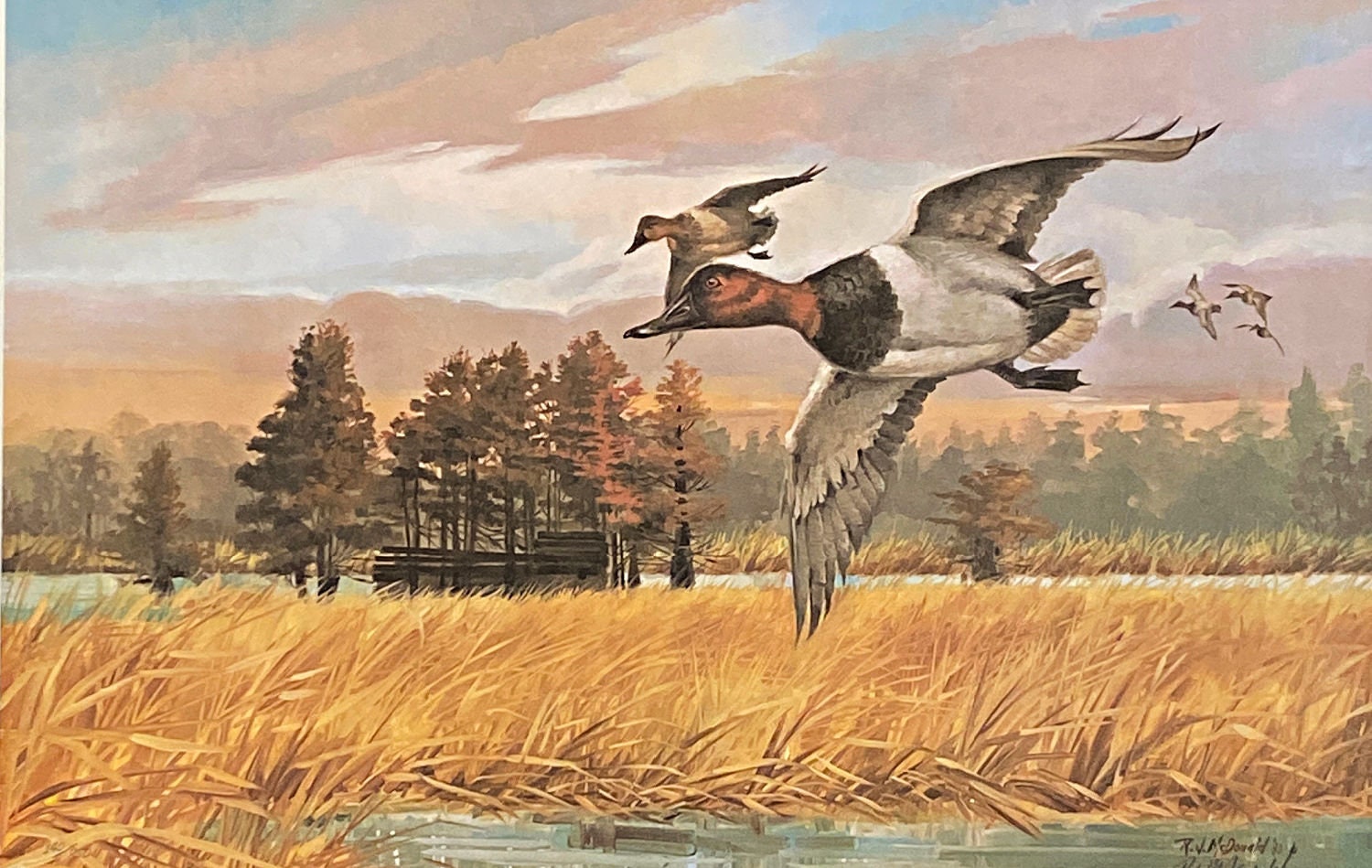 Goose Hunting Paintings