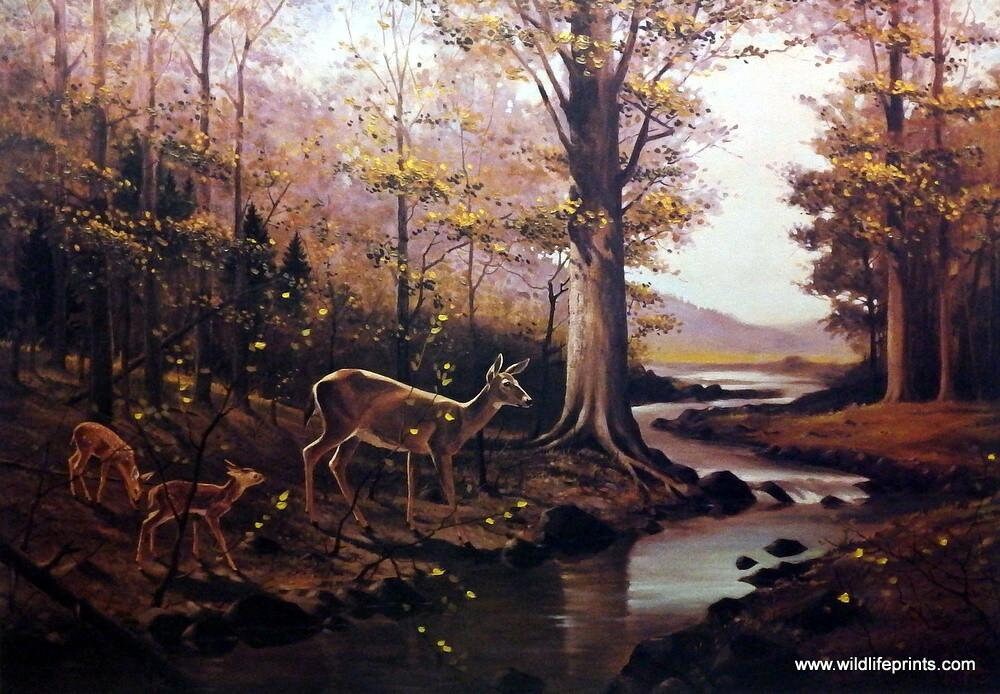Les Kouba A Visit to the Brook Deer Fawn Art Print 24 X 17 - Etsy