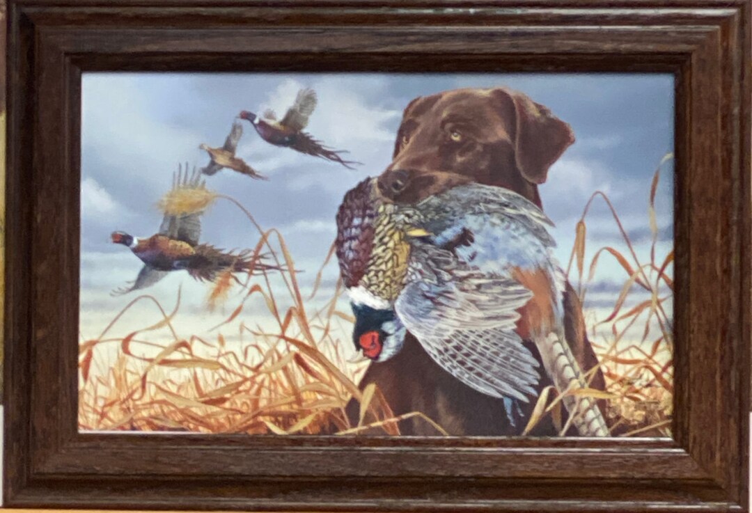Scot Storm Field Companion Chocolate Lab Pheasant Decorator Print ...