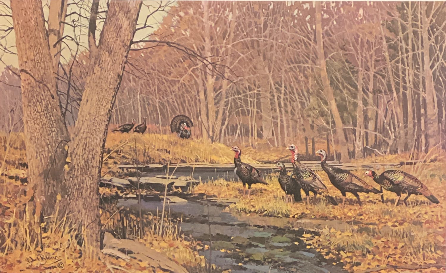 Turkey Hunting Paintings