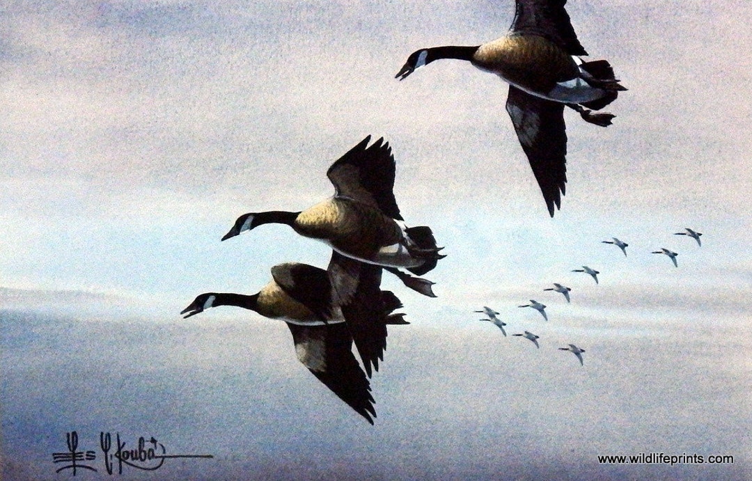 Les Kouba Honkers on Their Way S/N Print - Etsy