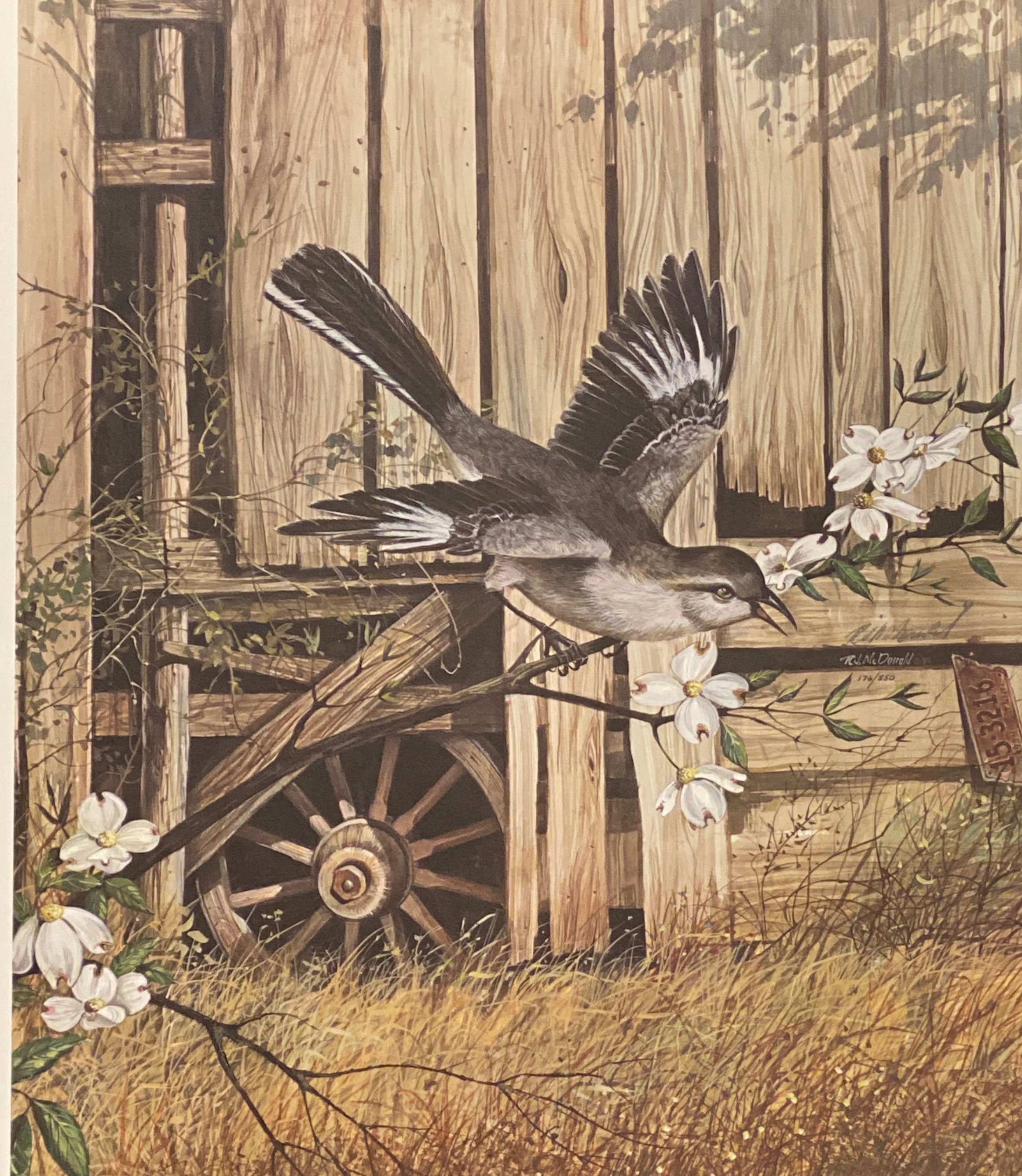 R. J. Ralph Mcdonald S/N Bird Print the Statesman With Cert (18.5"x21 ...