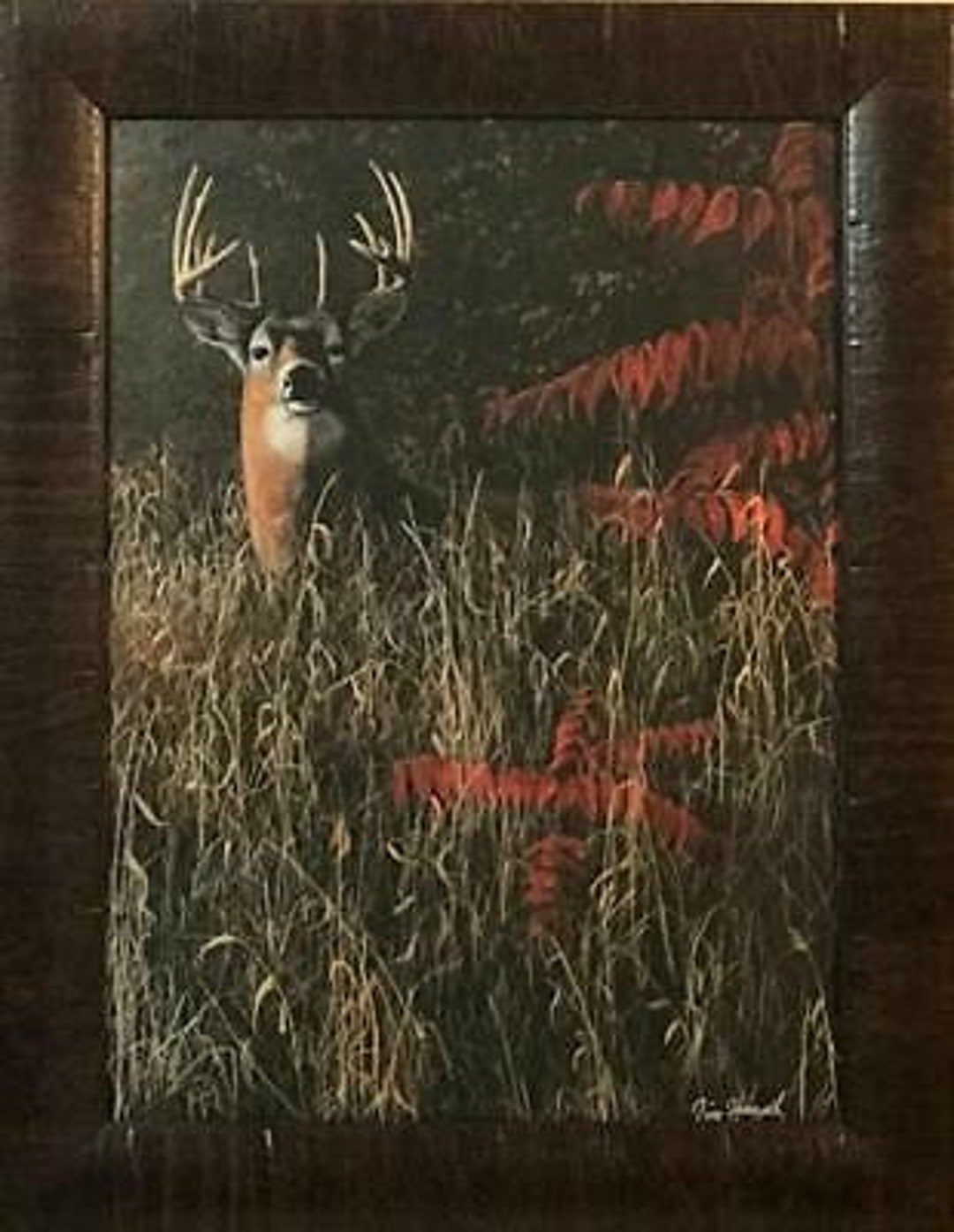 Jim Hansel Keeping the Watch Deer Art Print Framed Studio Canvas- 15 X ...