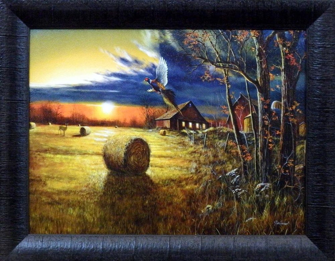Jim Hansel Autumn Harvest Pheasant Studio Canvas Framed Print- 19" X 15 ...
