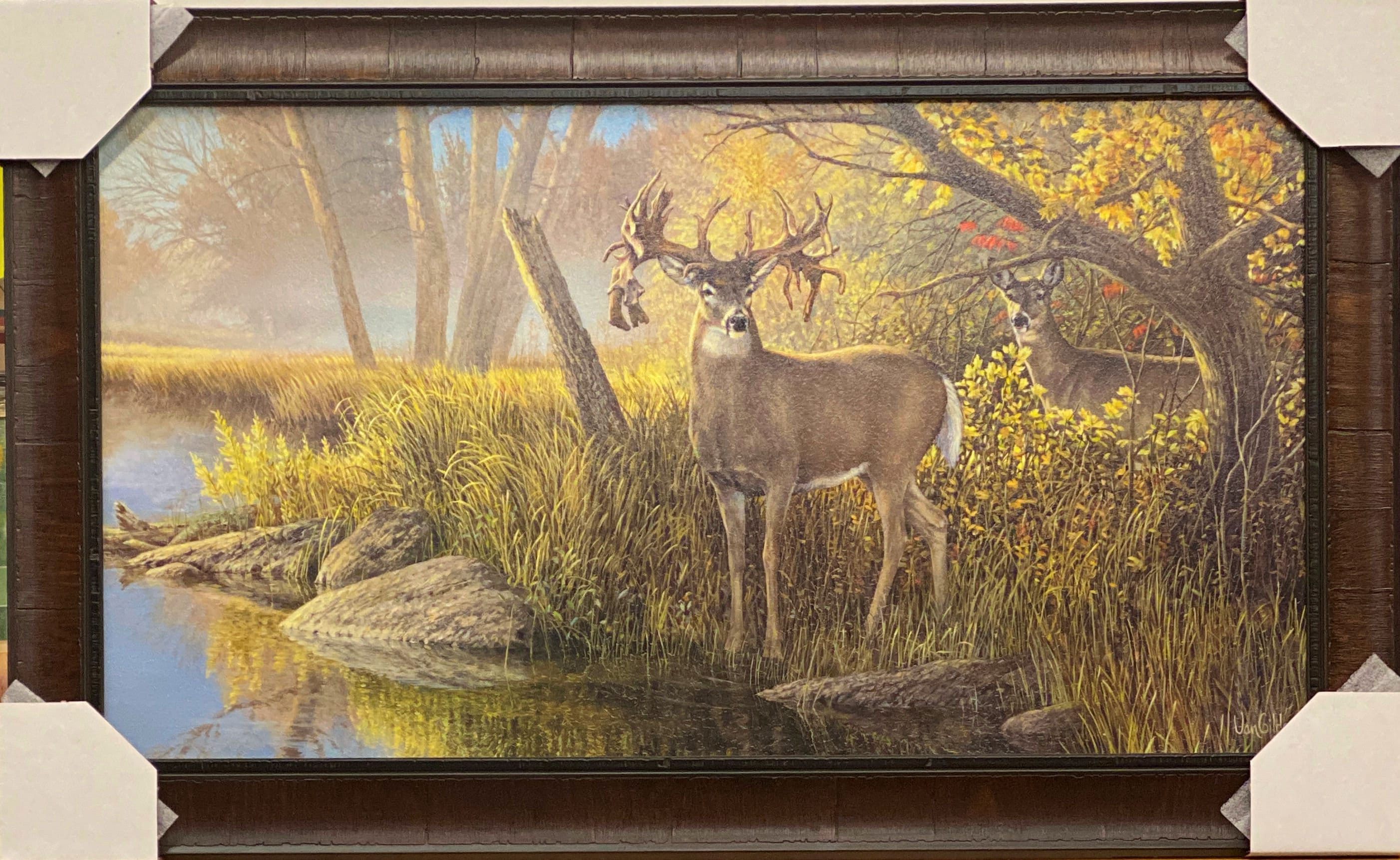 Ron Van Gilder Hole in the Horn Deer Art Print-framed 31 X 19 - Etsy