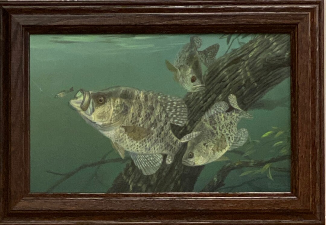 Randy Mcgovern Tree Dwellers Crappie Fishing Art Print-wood Frame 14 X ...