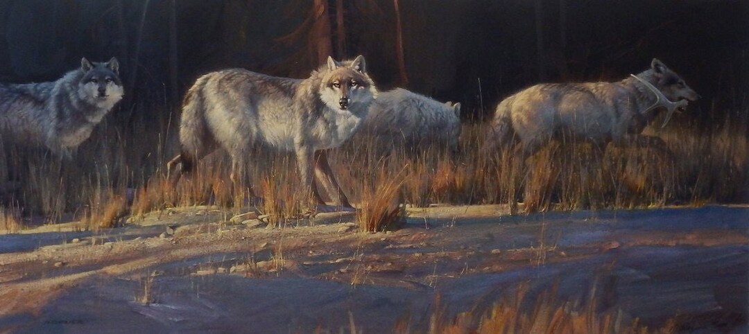 Nancy Glazier Border Patrol Wolves Print S/N Rare Press Proof Only 15 ...