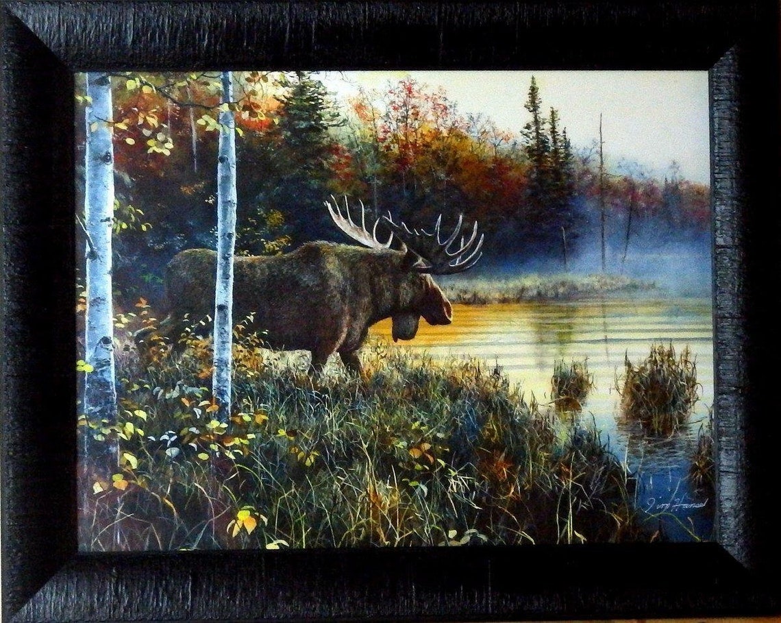 Jim Hansel Master of His Domain Moose Studio Canvas Framed Print- 19 X ...