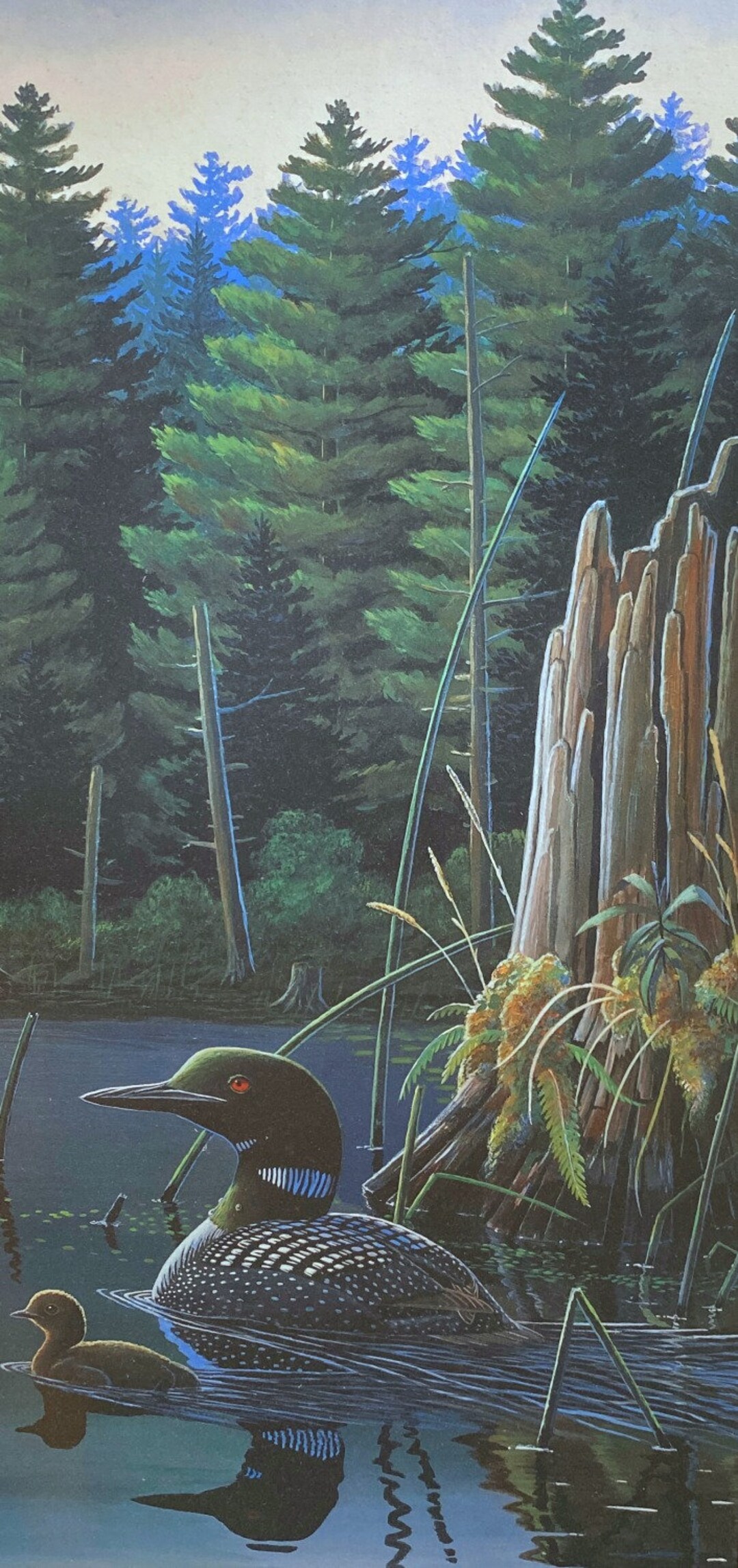 Villas County Legacy by Tim Schultz Loon Lake S/N Art Print 9.5 X 19 - Etsy