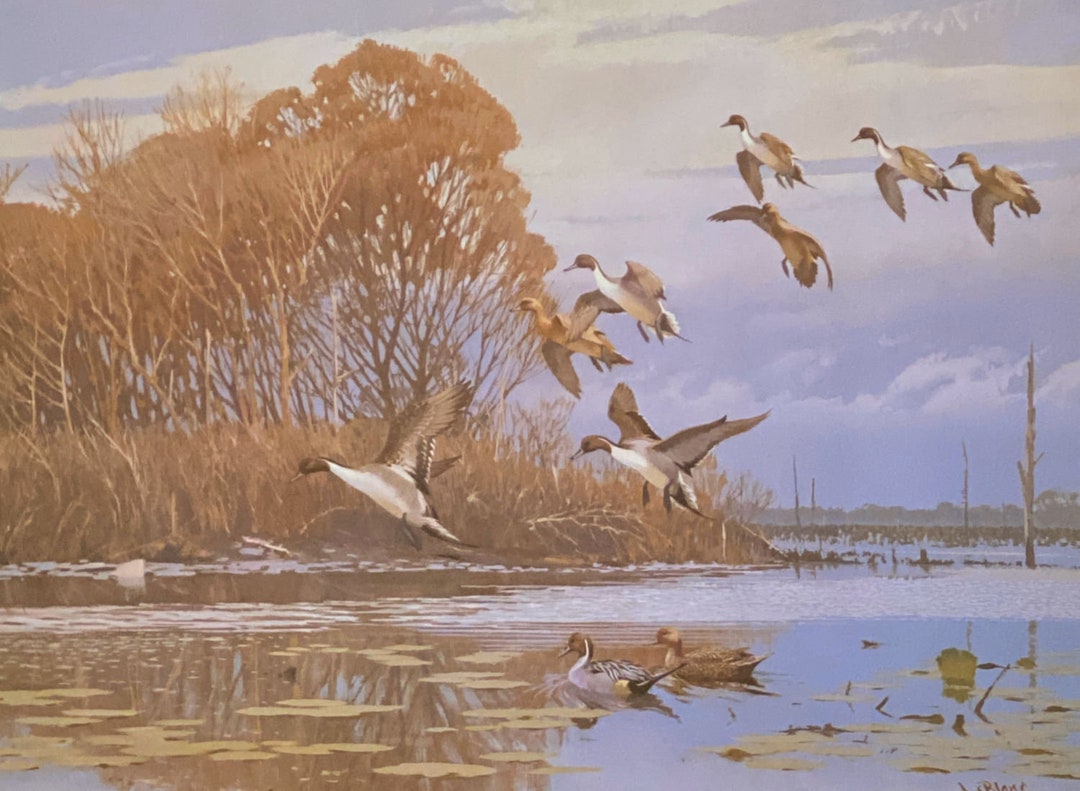 Lee Leblanc Pintails Duck Print Autumn Flight (19"x14") - Etsy